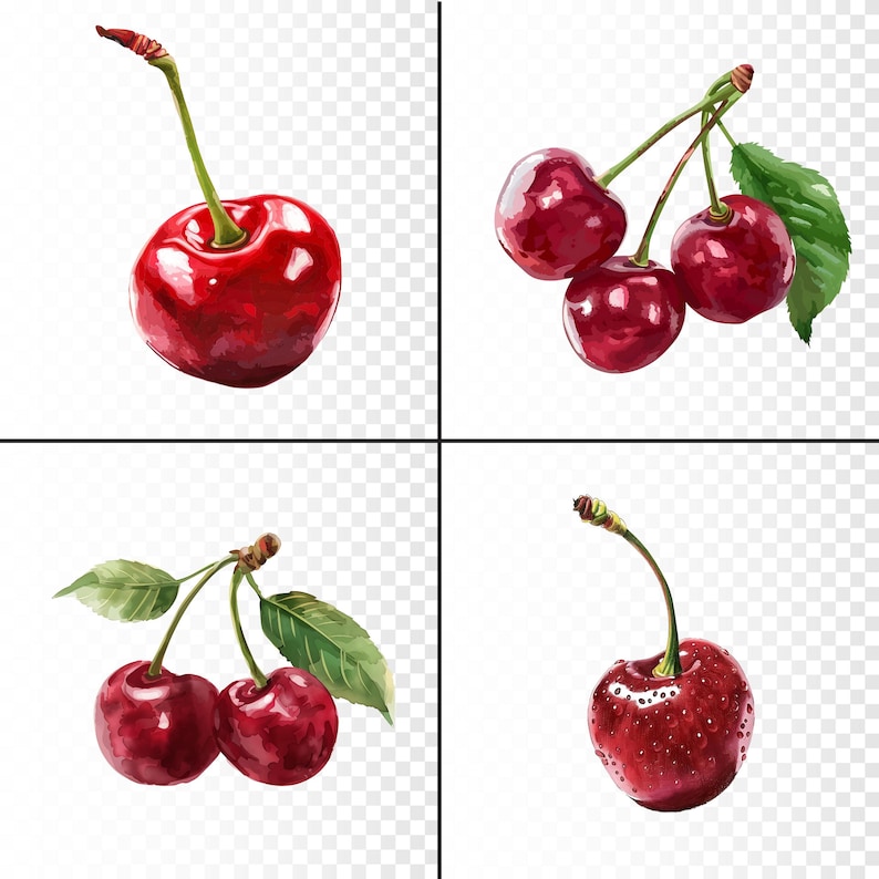Watercolor Cherry Clipart! 24 Realistic Red Cherry Clip Art! PNG ...
