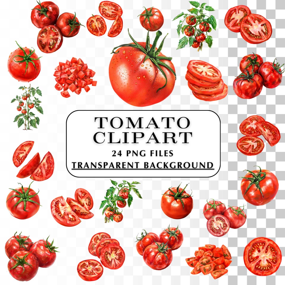 Tomato Clipart Bundle. 24 PNG Files With Transparent Backgrounds ...