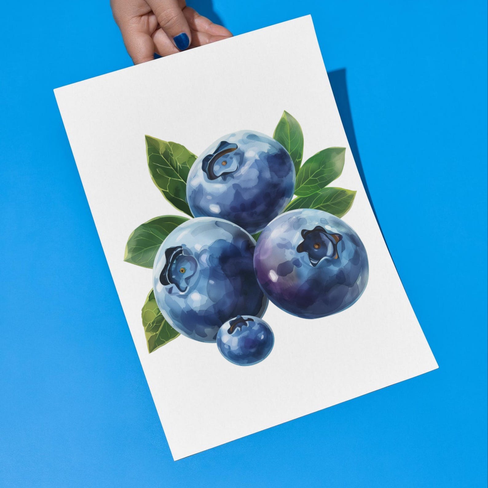 Watercolor Blueberry Clipart! 20 Vector Blueberry Clip Art, Vector ...