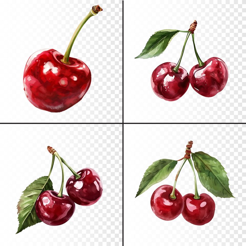 Watercolor Cherry Clipart! 24 Realistic Red Cherry Clip Art! PNG ...