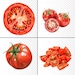 Tomato Clipart Bundle. 24 PNG Files With Transparent Backgrounds ...