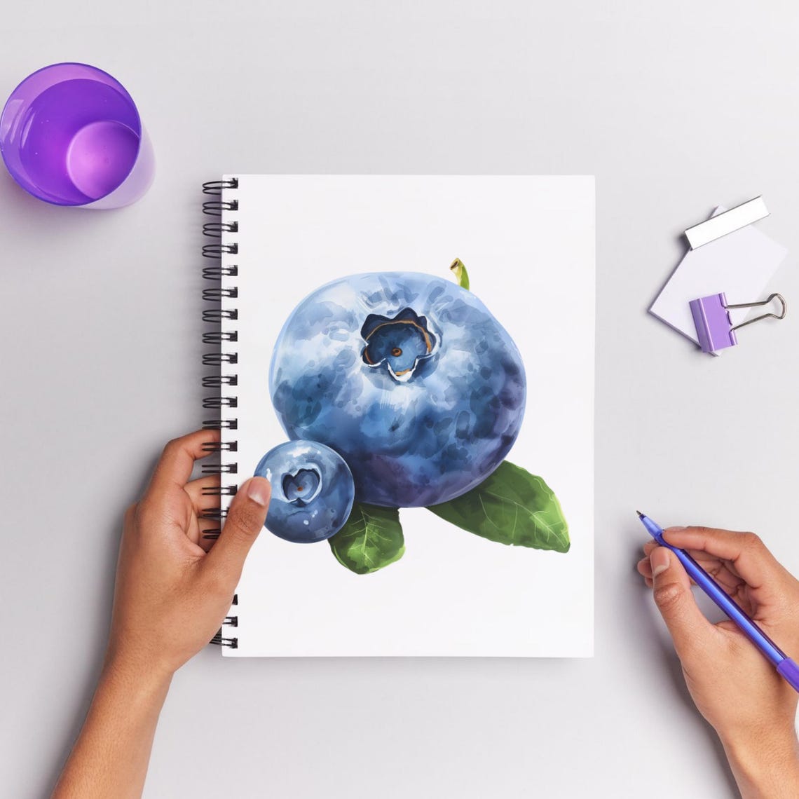 Watercolor Blueberry Clipart! 20 Vector Blueberry Clip Art, Vector ...