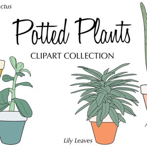 Potted Plants | Clipart Collection | PNG | Clip Art | Cactus ...