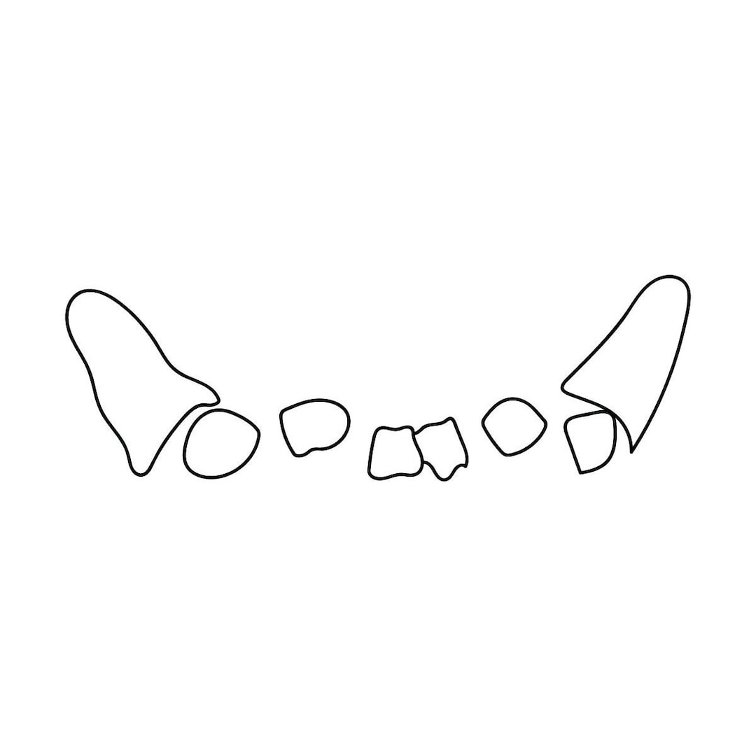 Custom Dog Teeth Outline Digital File Dog Teeth Line Art - Etsy
