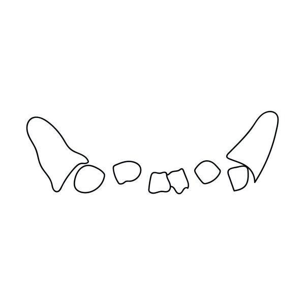 Dog Outline - Etsy