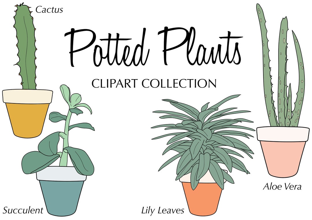 Potted Plants | Clipart Collection | PNG | Clip Art | Cactus ...