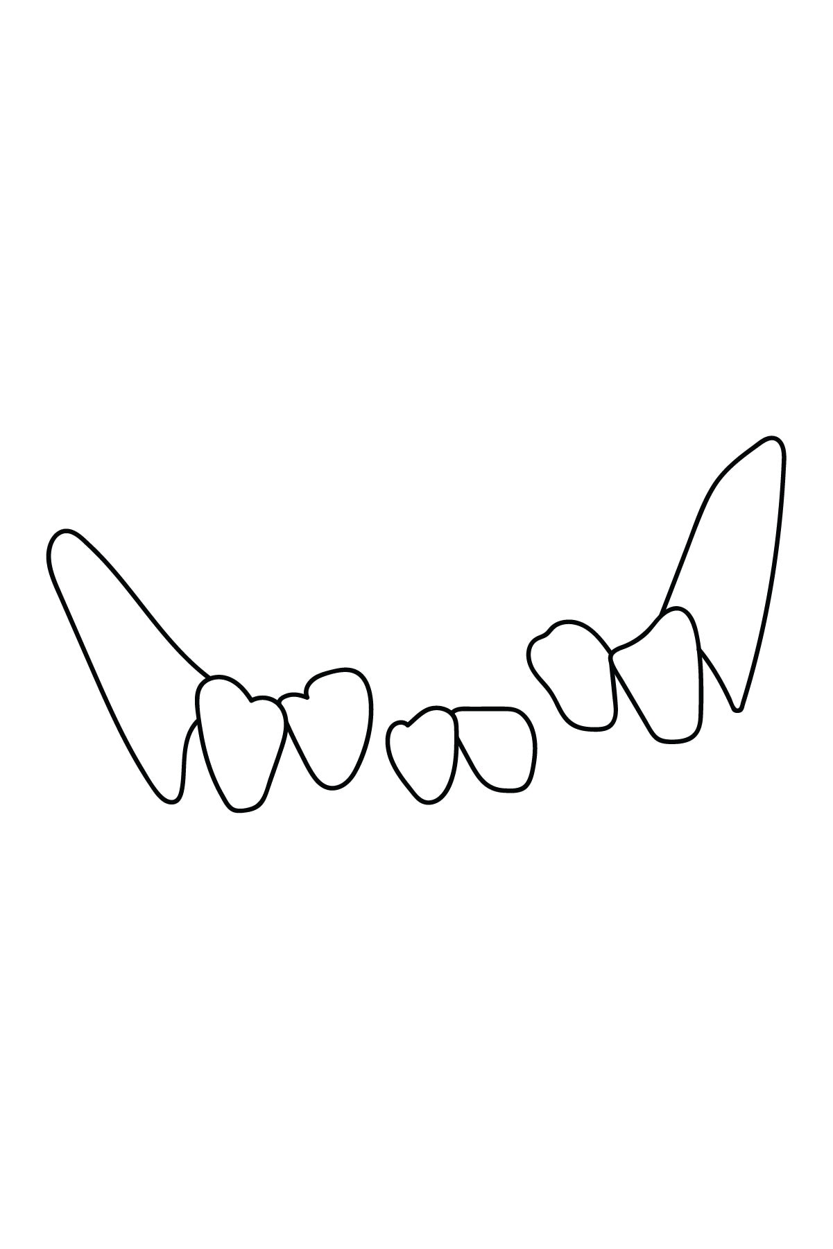 Custom Dog Teeth Outline Digital File Dog Teeth Line Art Custom Outline ...