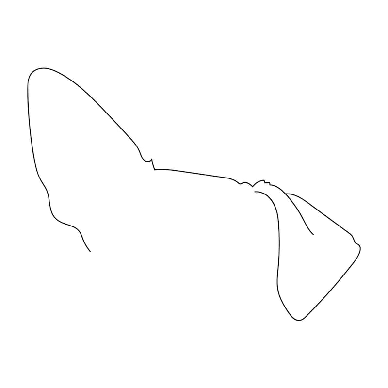 Dog Ear Outline - Etsy