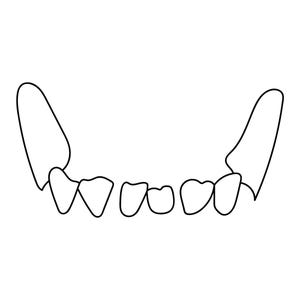 Custom Dog Teeth Outline | Digital File | Dog Teeth Line Art | Custom ...