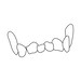 Custom Dog Teeth Outline Digital File Dog Teeth Line Art Custom Outline ...