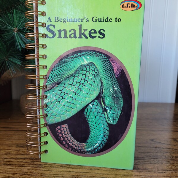 Repurposed Book - Etsy