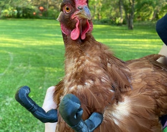 Chicken Boxing - Etsy