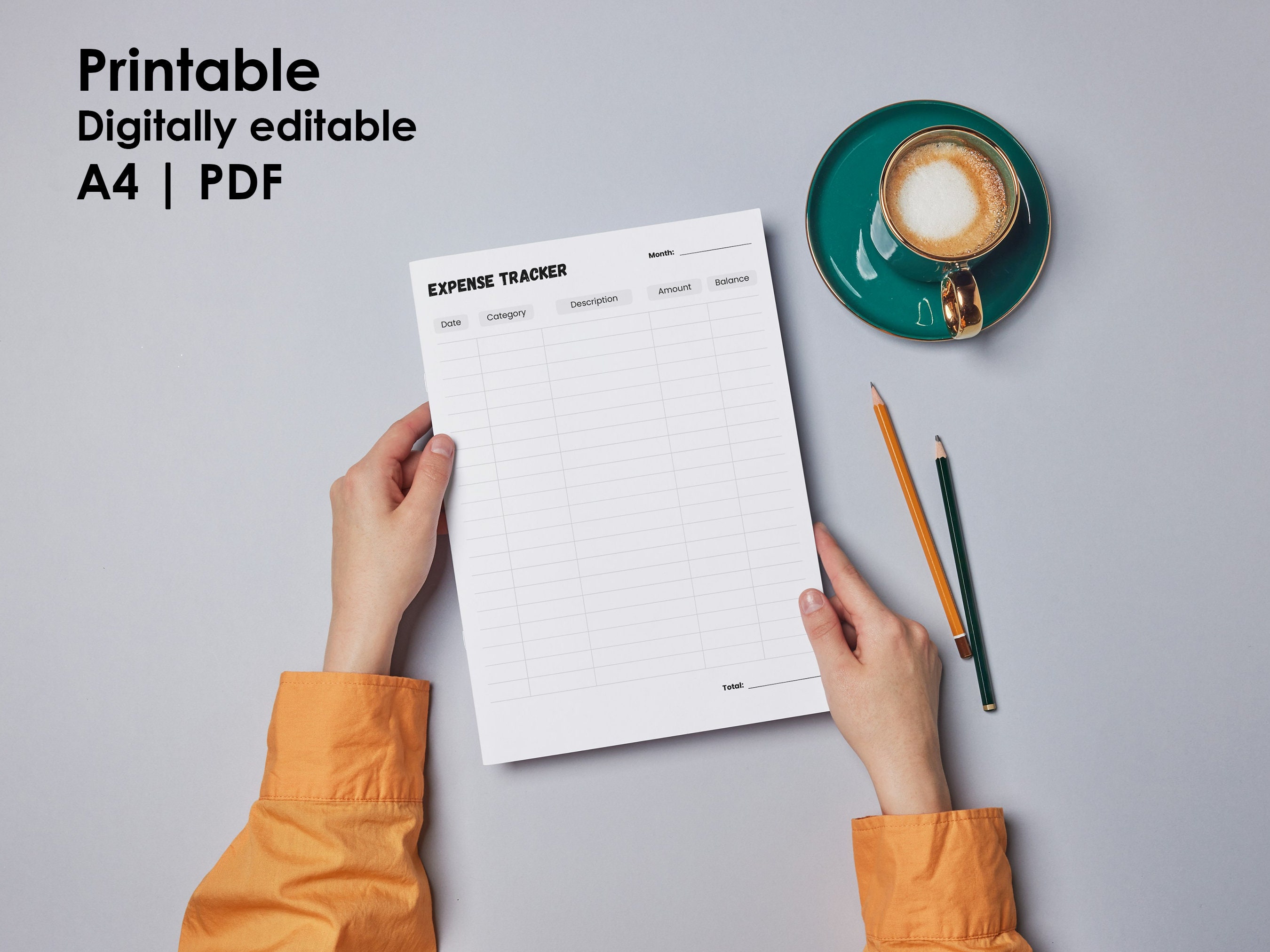 Editable Monthly Expense Tracker | Printable & Digital Expense Log PDF ...