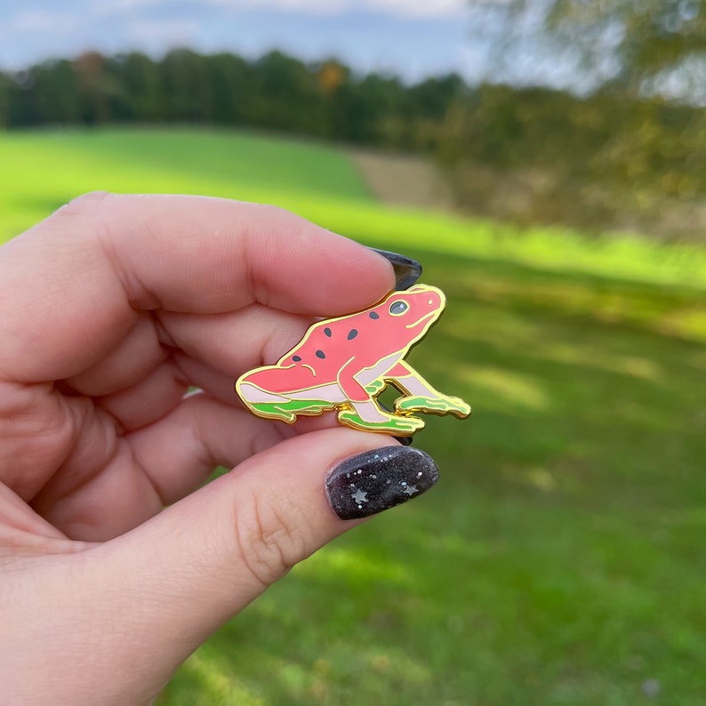 Watermelon Fruit Frog Enamel Pin | Etsy
