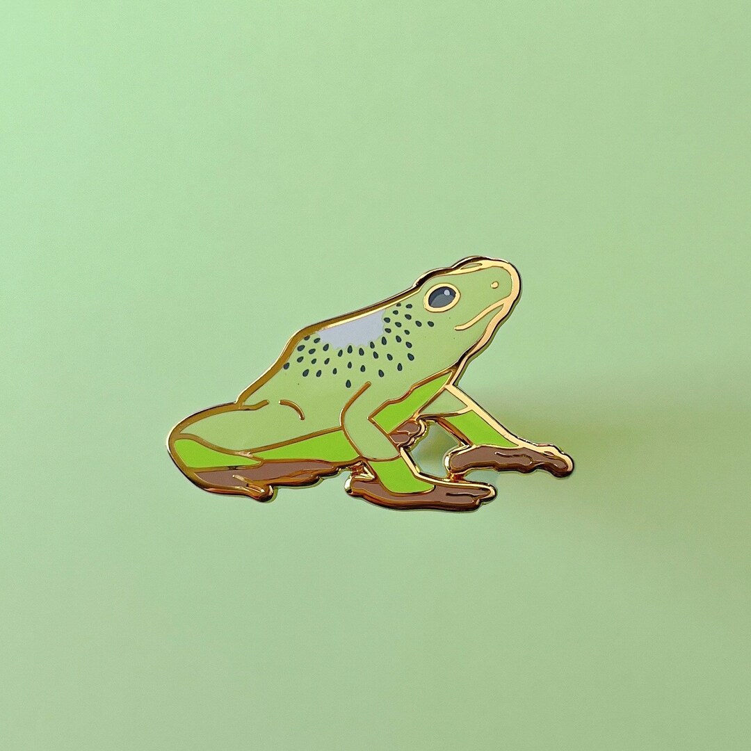 Pastel Kiwi Fruit Frog Enamel Pin! Adorable Frog Pin! - Etsy