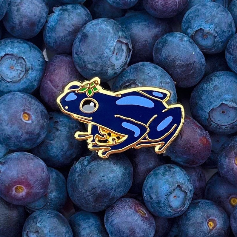 FULL SET 8 Fruit Frog Enamel Pins Watermelon Kiwi Strawberry - Etsy