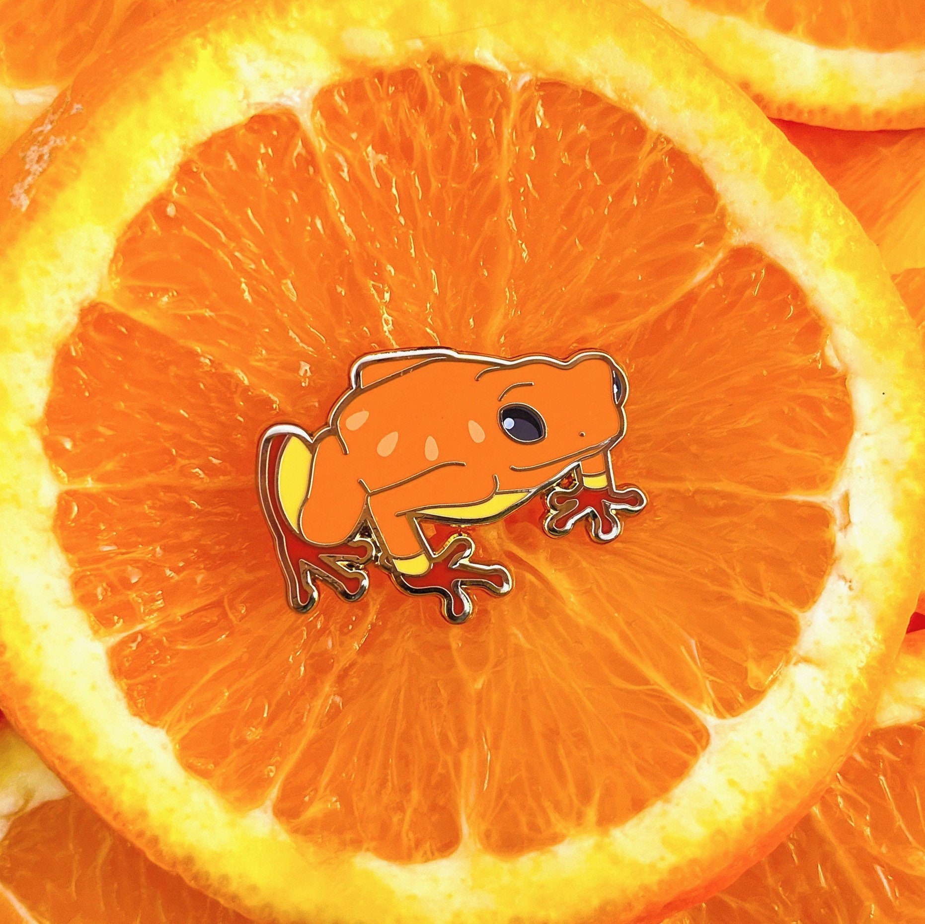Orange Fruit Frog Enamel Pin Adorable Frog Pin - Etsy