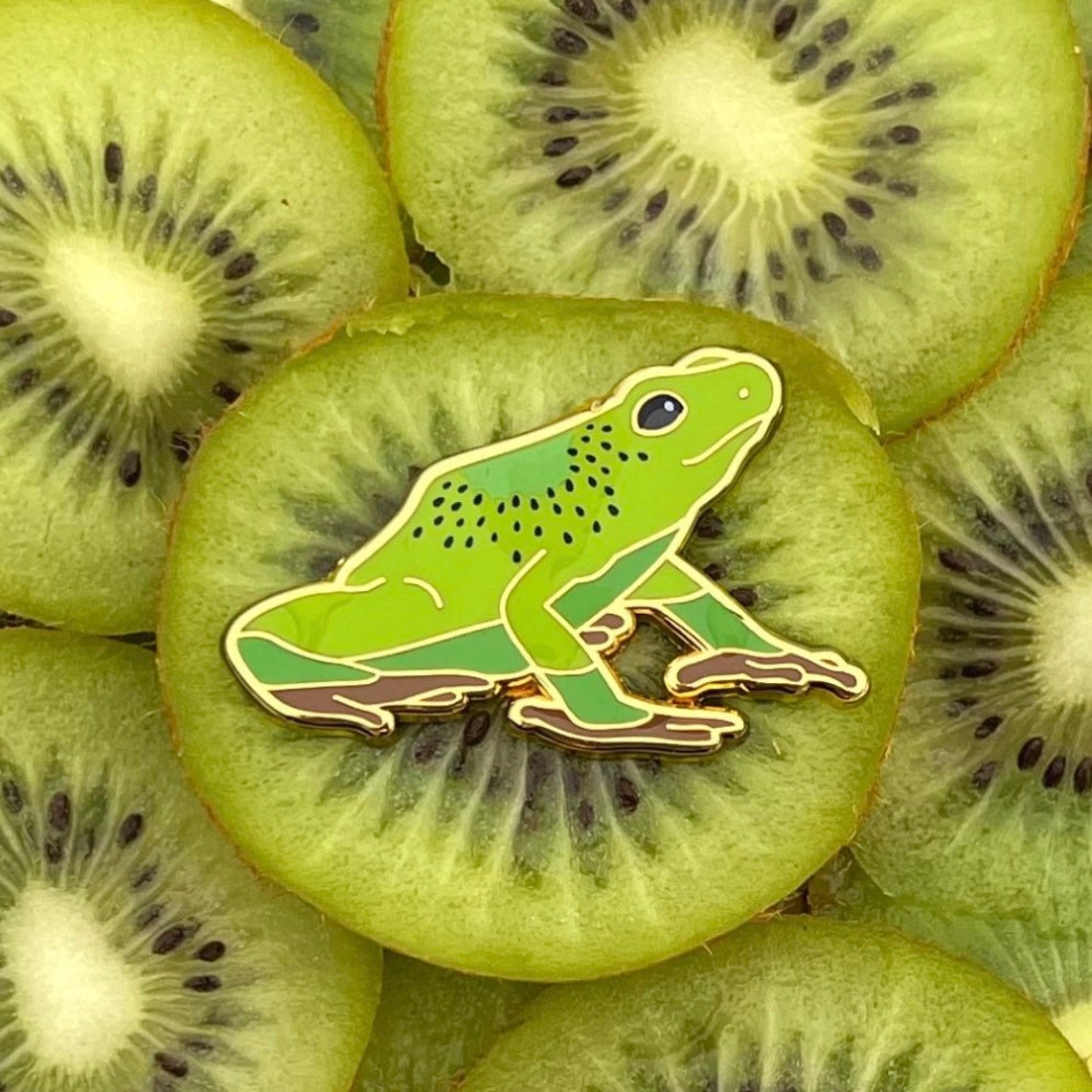 Kiwi Fruit Frog Enamel Pin! - Etsy