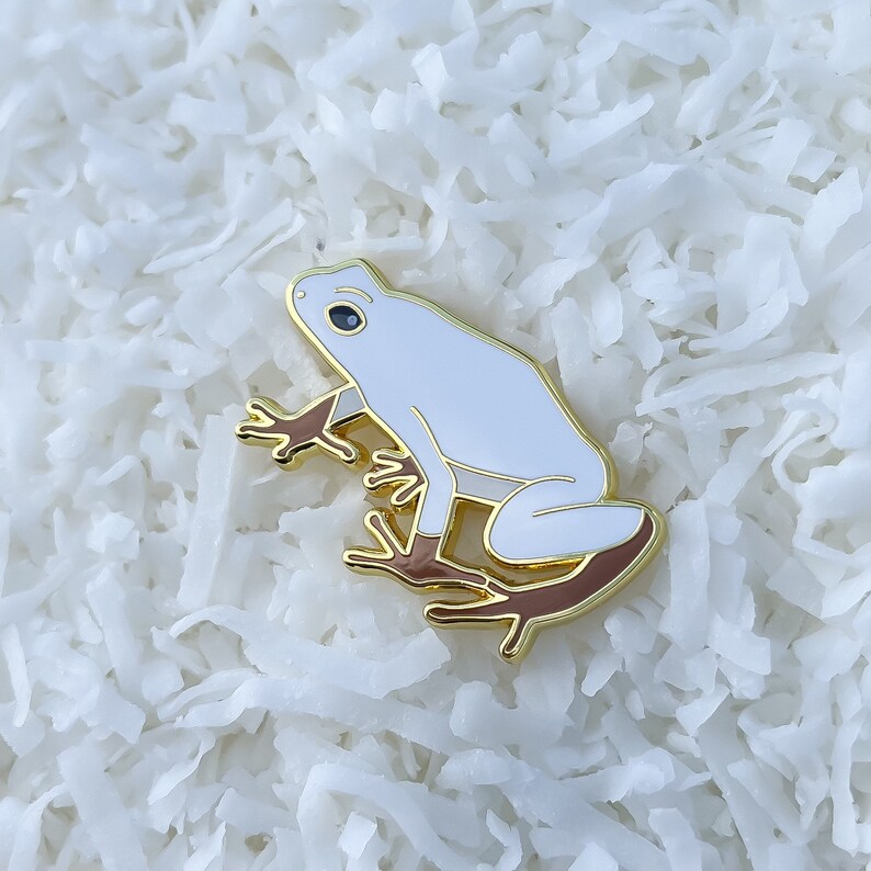 Coconut Fruit Frog Enamel Pin - Etsy
