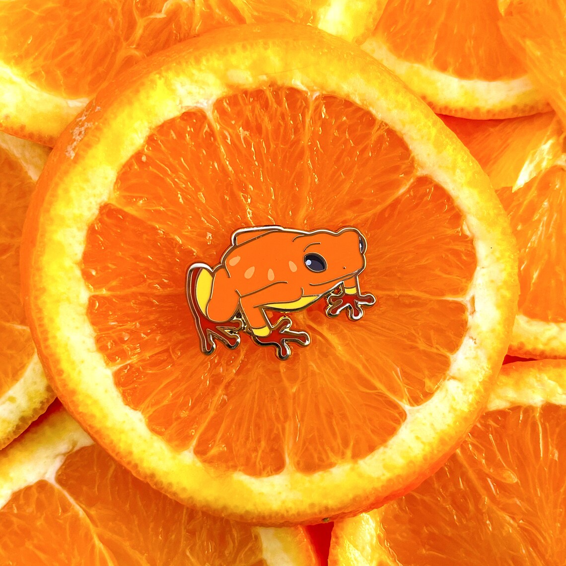 Orange Fruit Frog Enamel Pin! Adorable Frog Pin! - Etsy