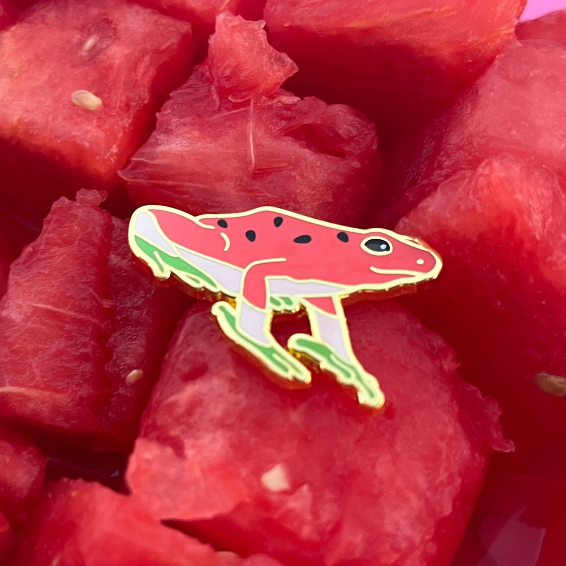 Watermelon Fruit Frog Enamel Pin - Etsy