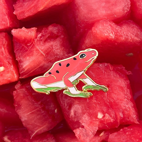 Watermelon Fruit Frog Enamel Pin - Etsy