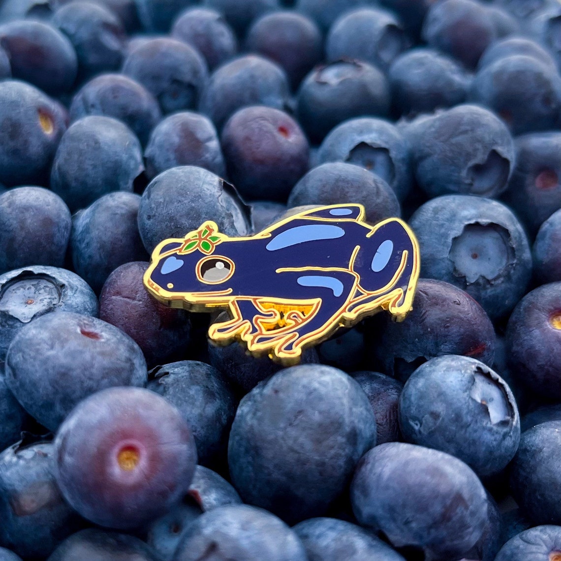Blueberry Fruit Frog Enamel Pin Adorable Tiny Frog Pin - Etsy
