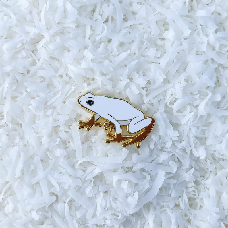 Coconut Fruit Frog Enamel Pin - Etsy
