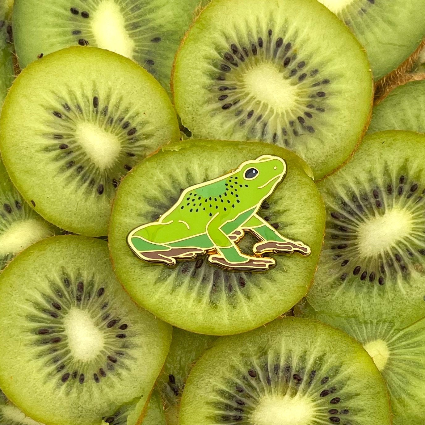 FULL SET! 8 Fruit Frog Enamel Pins! Watermelon Kiwi Strawberry ...