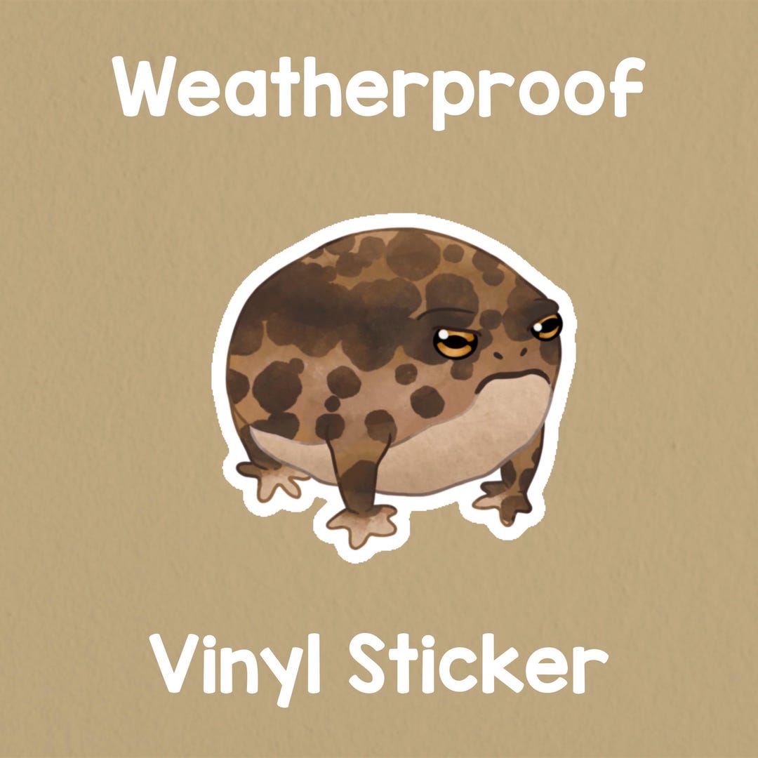 Desert Rain Frog Sticker! Adorable Weatherproof Frog Art Sticker! - Etsy