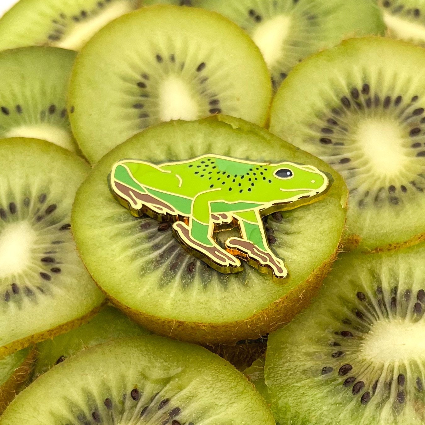 Kiwi Fruit Frog Enamel Pin! - Etsy