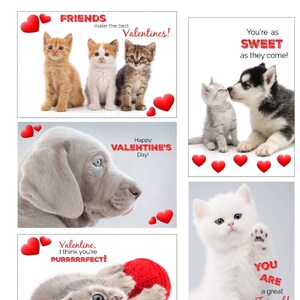 Kitty and Puppy Valentine Cards | Kids | School | Valentines Day | Baby ...