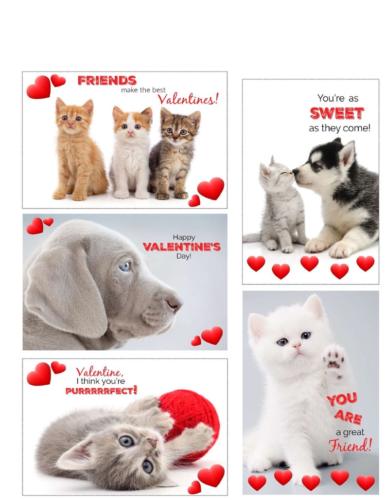 Kitty and Puppy Valentine Cards | Kids | School | Valentines Day | Baby ...