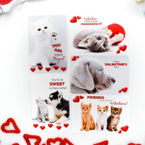 Kitty and Puppy Valentine Cards | Kids | School | Valentines Day | Baby ...