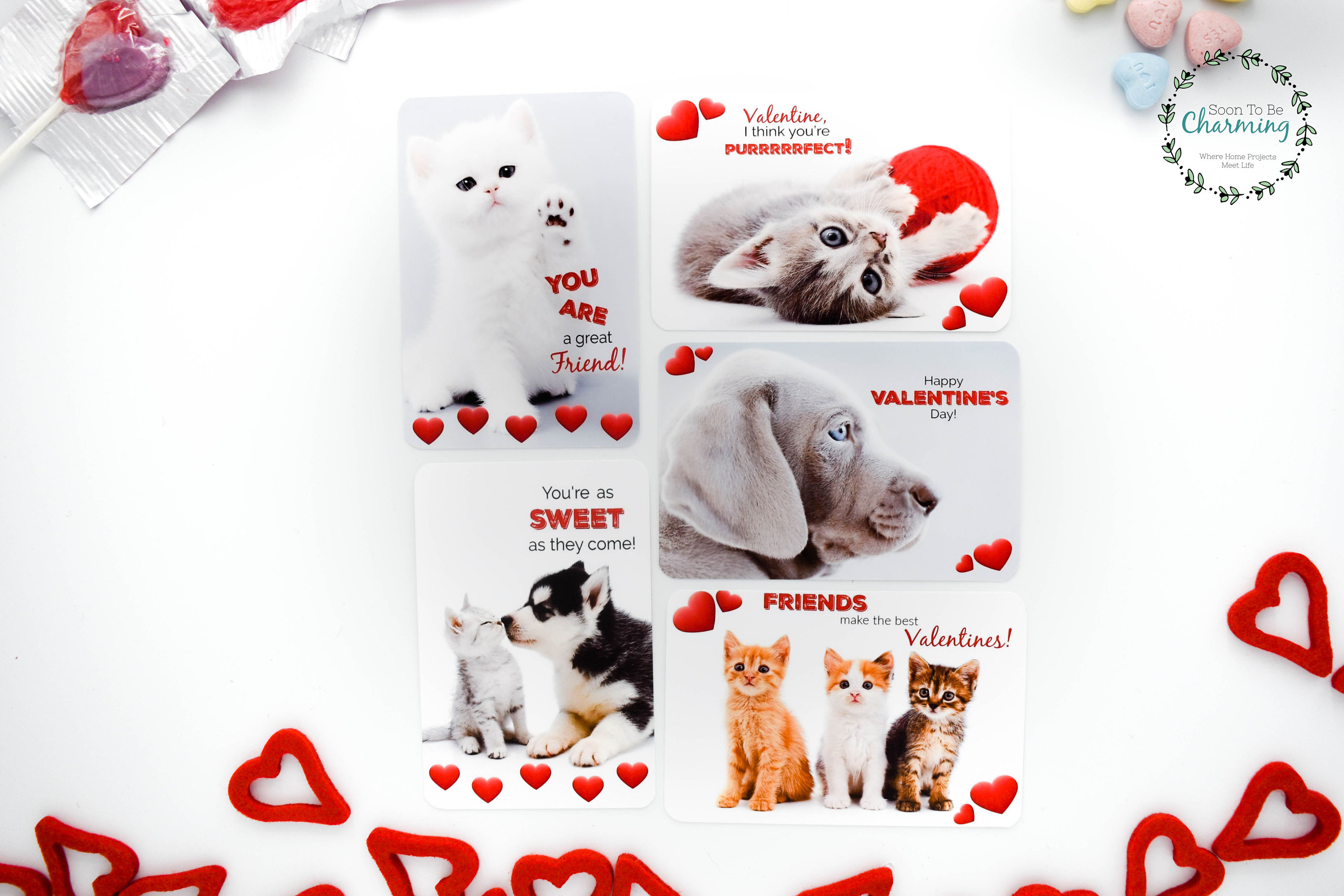 Kitty and Puppy Valentine Cards | Kids | School | Valentines Day | Baby ...