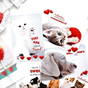 Kitty and Puppy Valentine Cards | Kids | School | Valentines Day | Baby ...