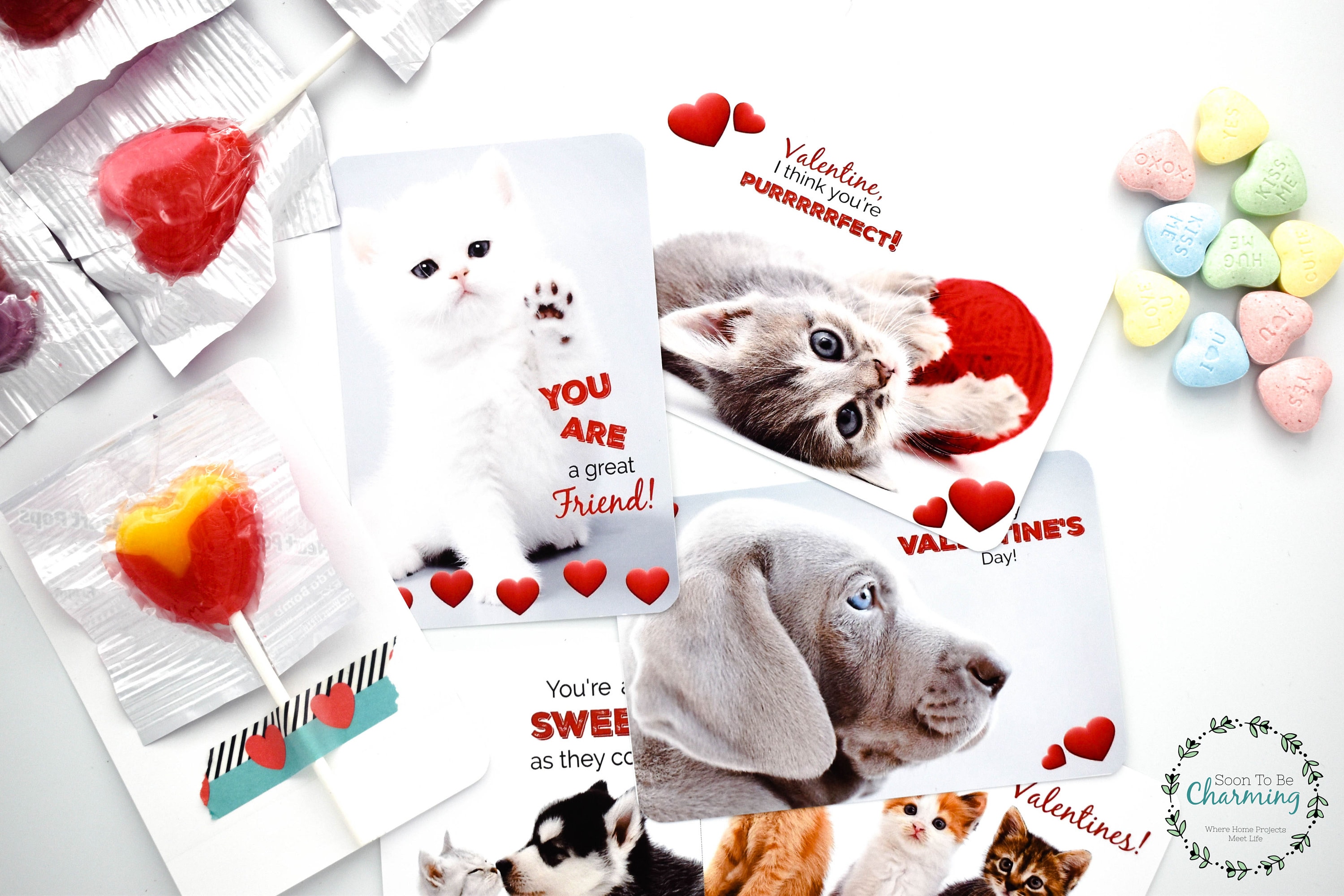 Kitty and Puppy Valentine Cards | Kids | School | Valentines Day | Baby ...