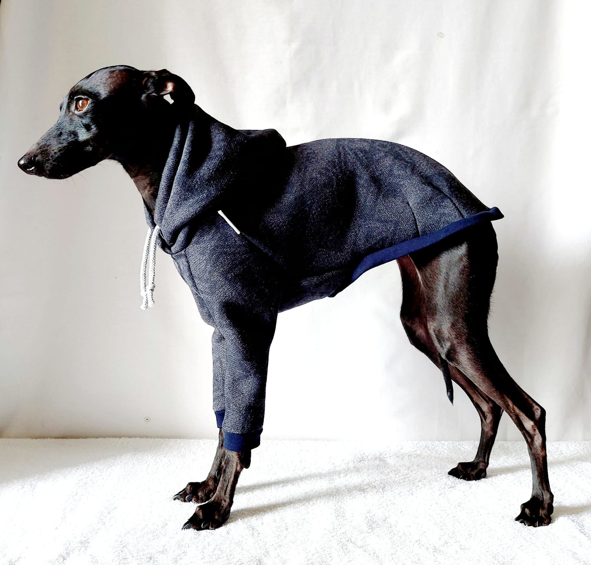 Italiaanse windhond kleding jas hondenjas trui trui - Etsy Nederland