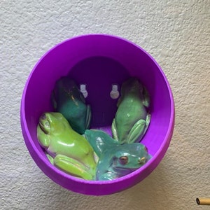 Reptile Amphibian Frog, Snake, Gecko Suction Cup Wall Hide - Etsy