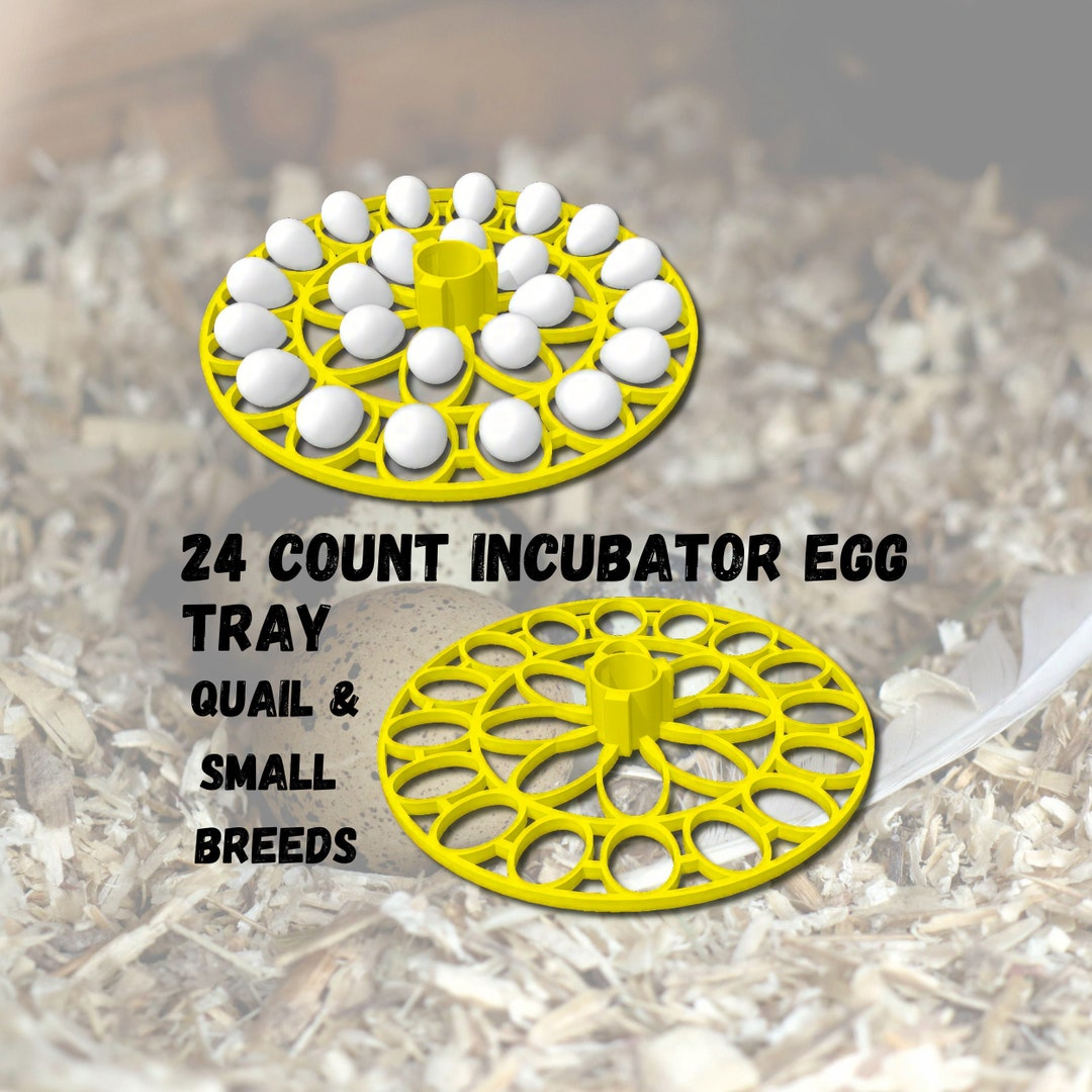 Egg Tray for Incubators Sold on Amazon | Quail Eggs | Small Eggs - Etsy