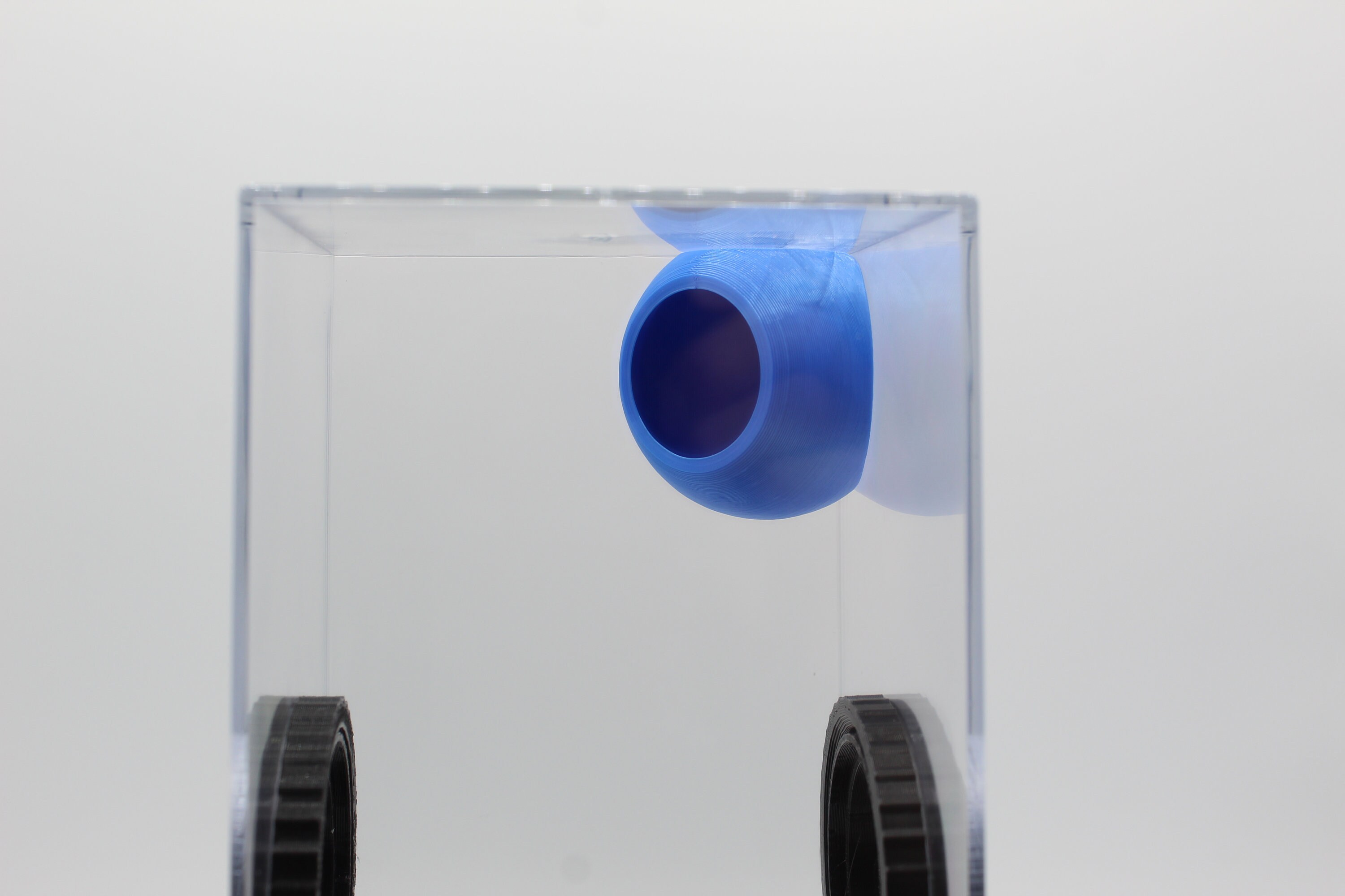 Corner Magnet Jumping Spider Hide NEW SIZE - Etsy