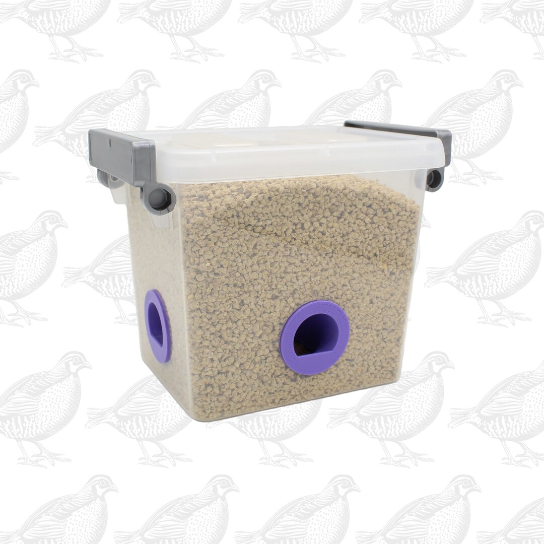 2.5qt. Quail and Chick Food Saver Feeder Bin - Etsy