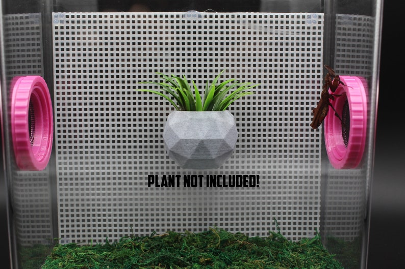 Pet Insect Magnetic Planter Pixel Pot - Etsy