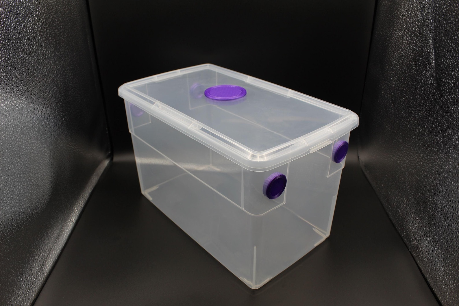 New Tall Insect 360 Clear View Enclosure Isopods, Roaches - Etsy