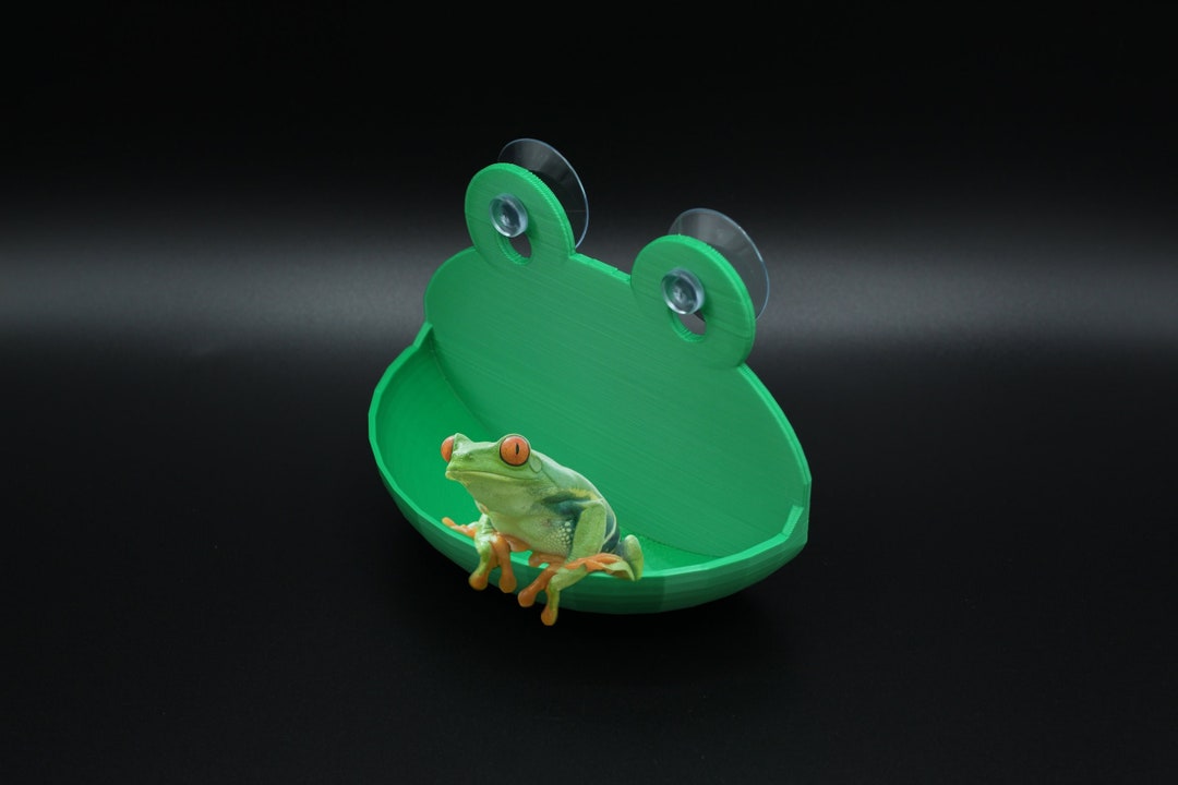 Frog Face Suction Cup Ledge | NEW COLORS AVAILABLE - Etsy