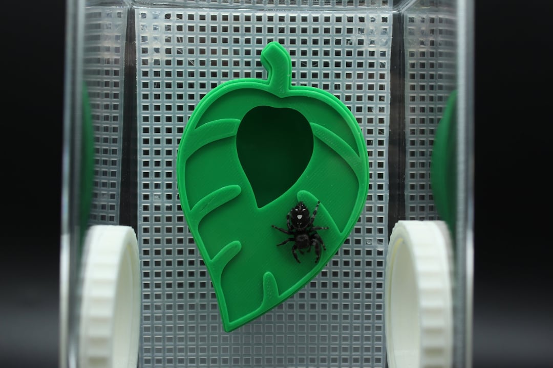 Spider Leaf Magnetic Hide - Etsy