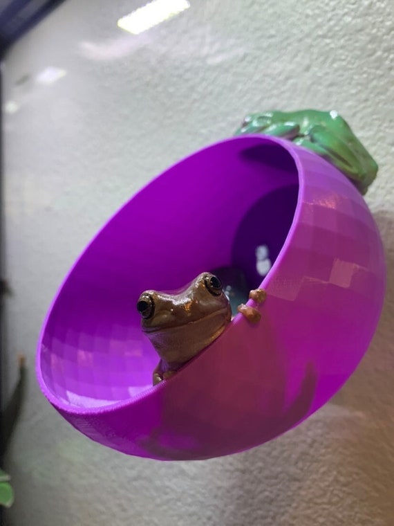 Reptile Amphibian Frog Snake Gecko Suction Cup Wall Hide - Etsy