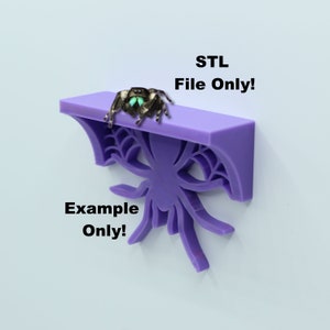 Spider Magnetic Ledge Three Styles STL File With Commercial License - Etsy