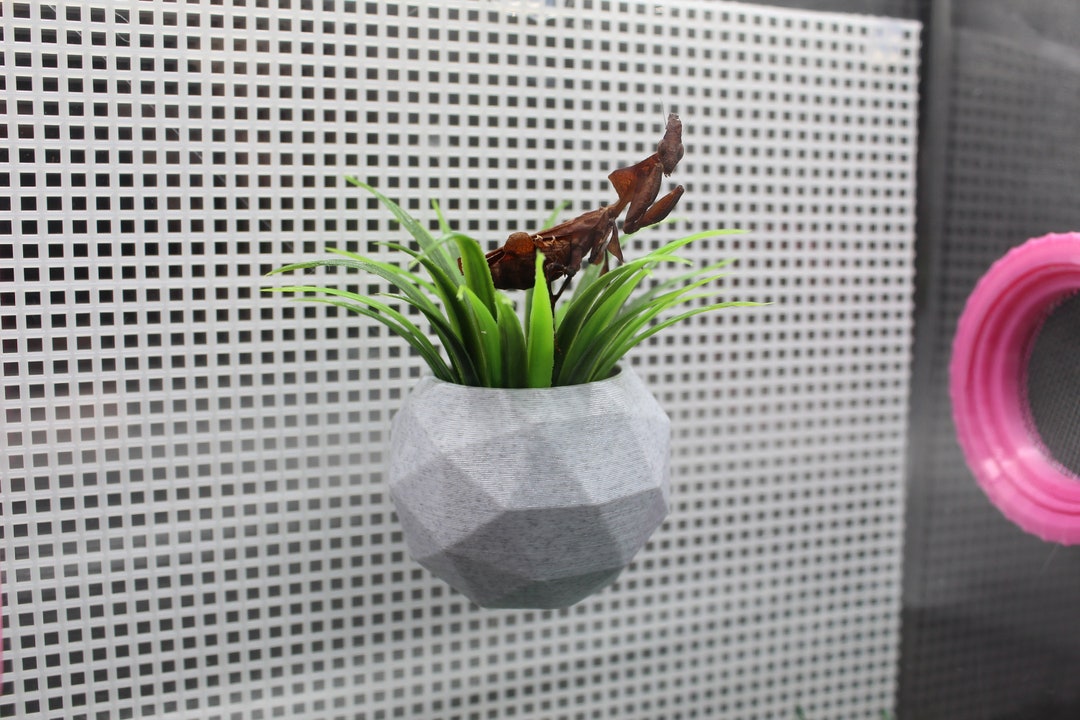 Pet Insect Magnetic Planter Pixel Pot - Etsy