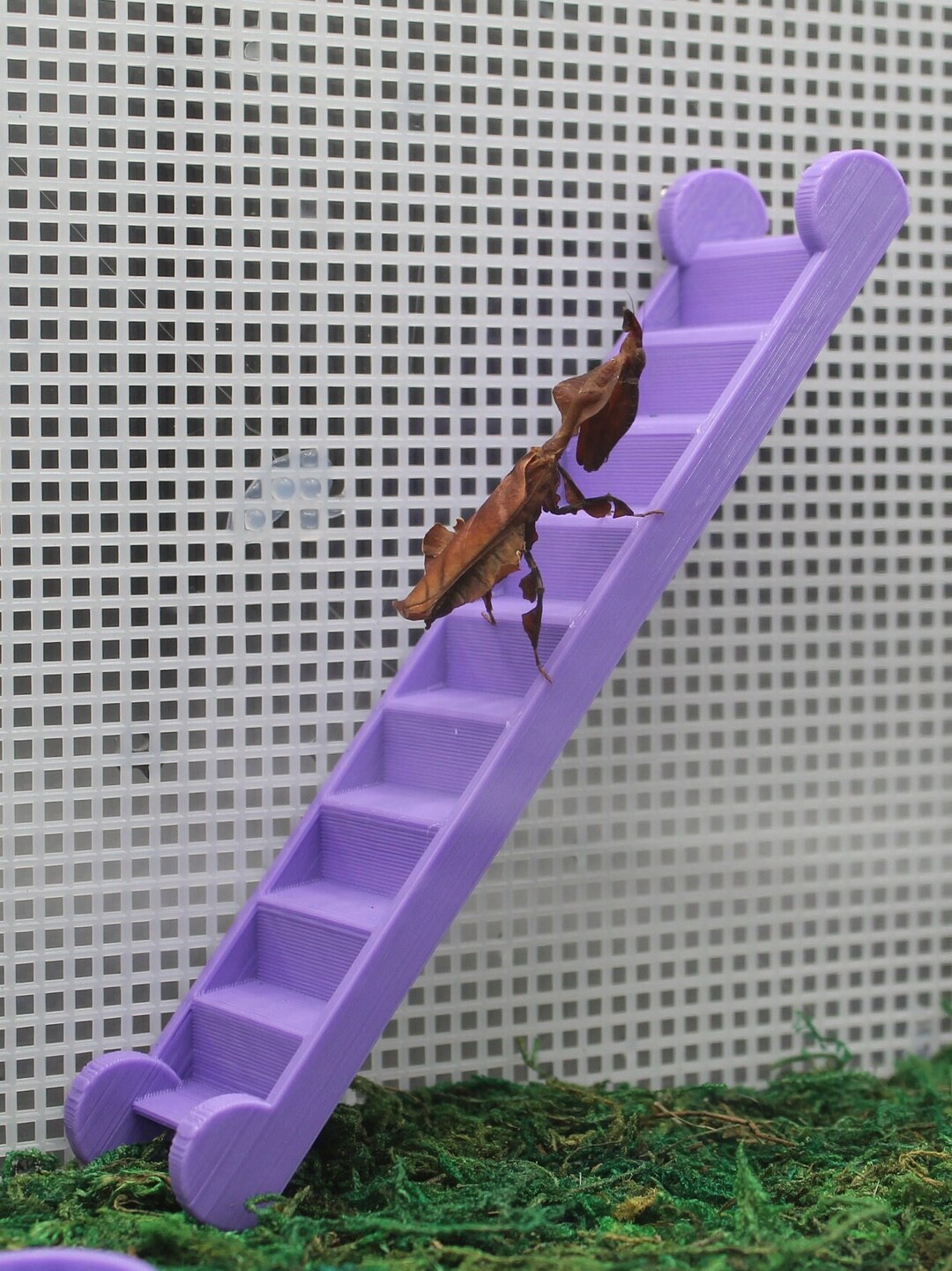 Magnetic Jumping Spider Mantis Staircase - Etsy